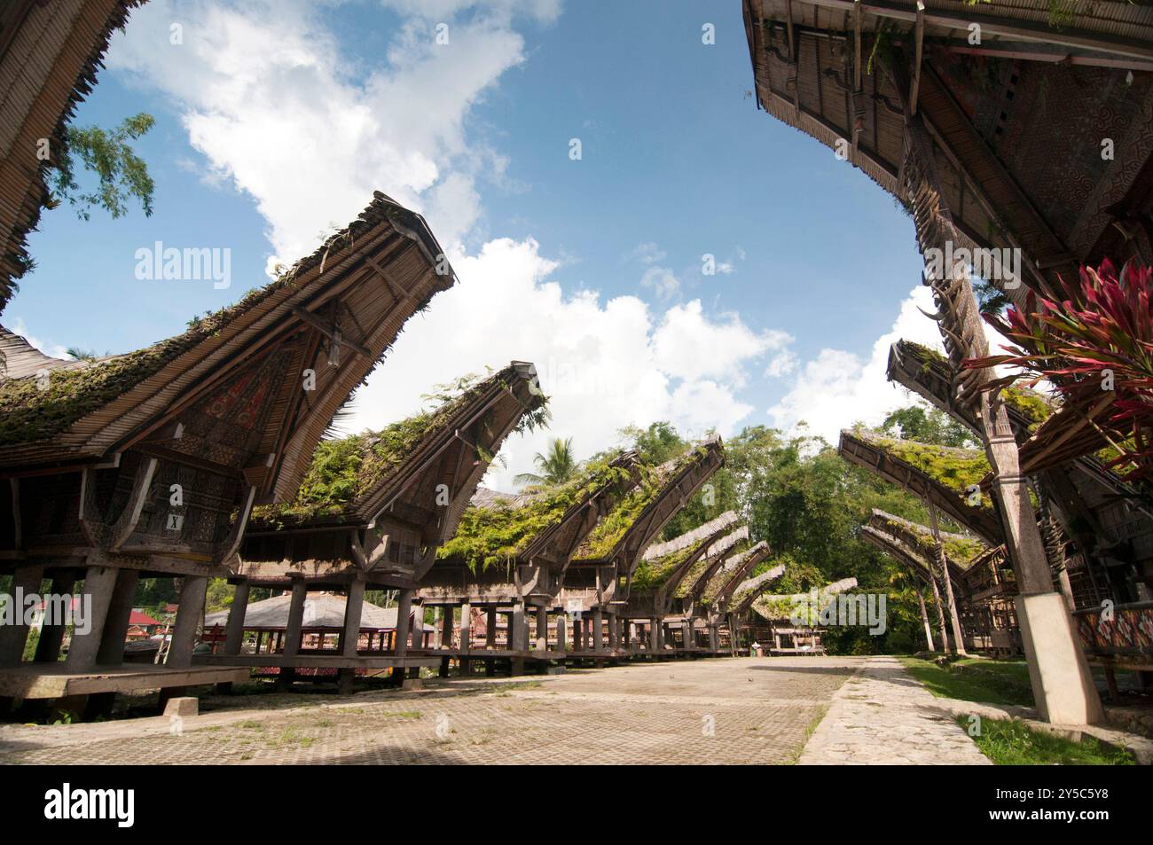 Tongkonan is traditional house of the Toraja tribe of South Sulawesi ...