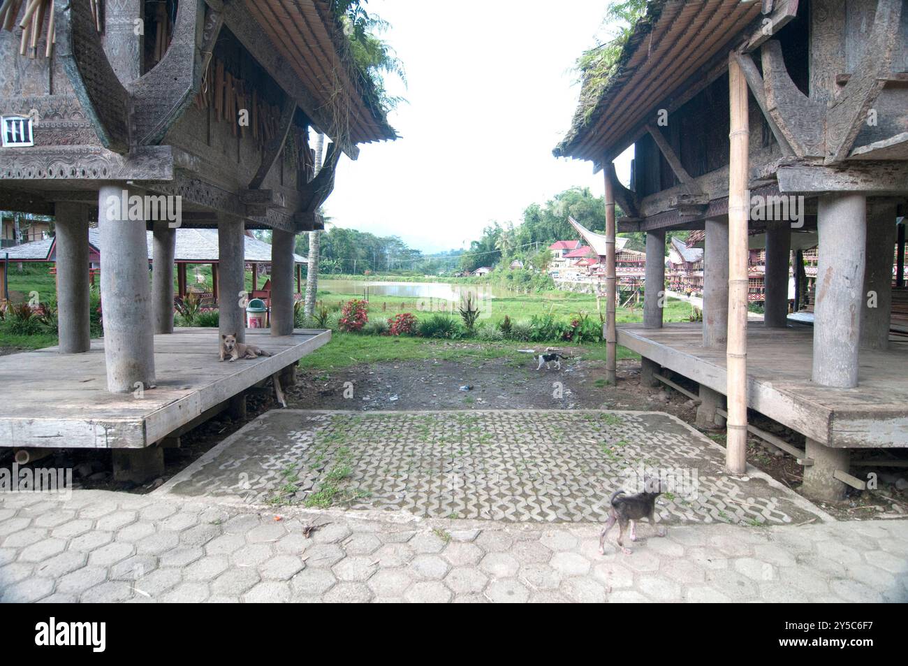 Tongkonan is traditional house of the Toraja tribe of South Sulawesi ...