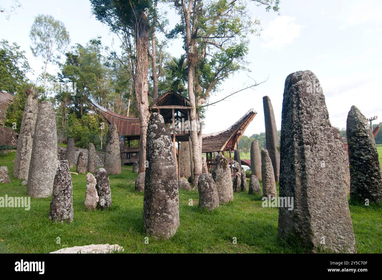 Stone Torajan megalithic burial site in Bori Village, Tana Toraja ...