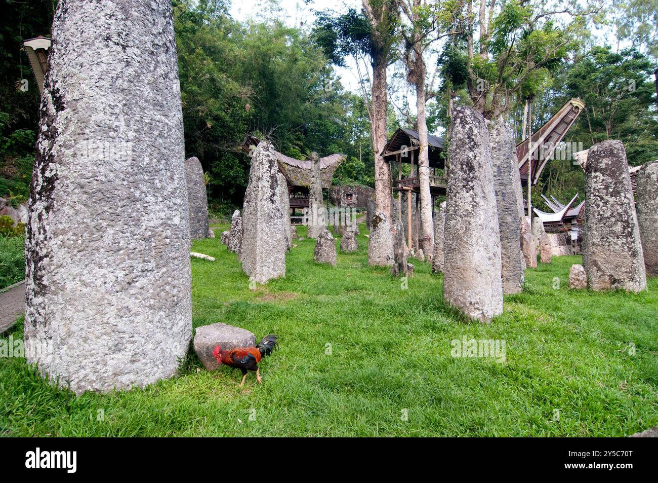Stone Torajan megalithic burial site in Bori Village, Tana Toraja ...