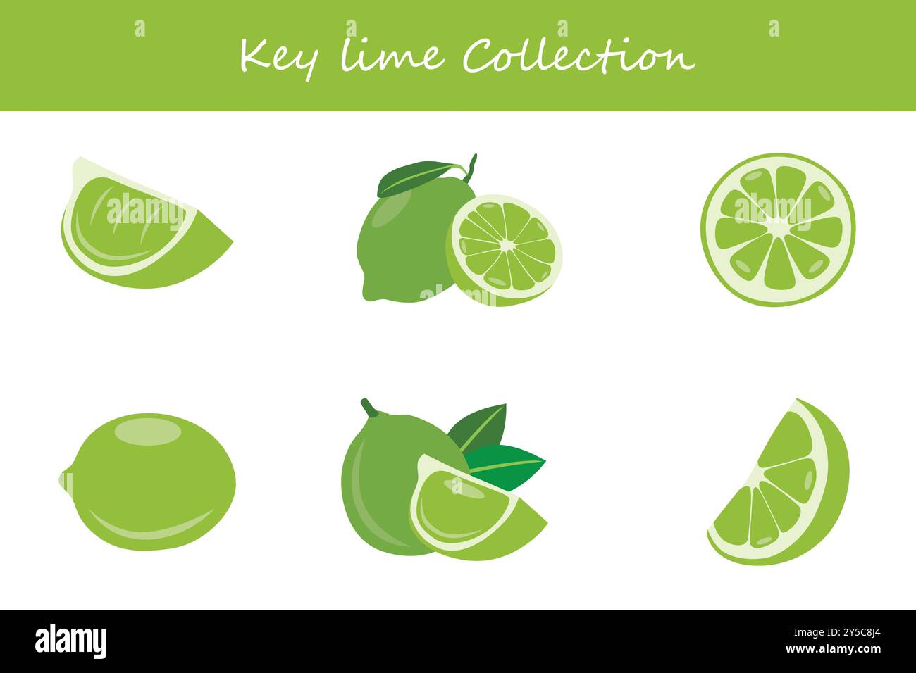 key lime collection in different poses. Vector illustration Stock ...