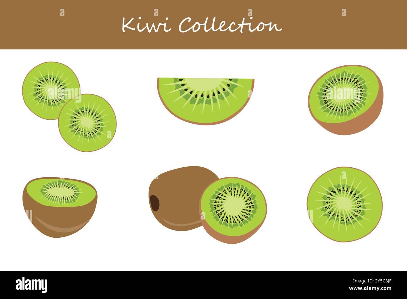 kiwi collection in different poses. Vector illustration Stock Vector ...