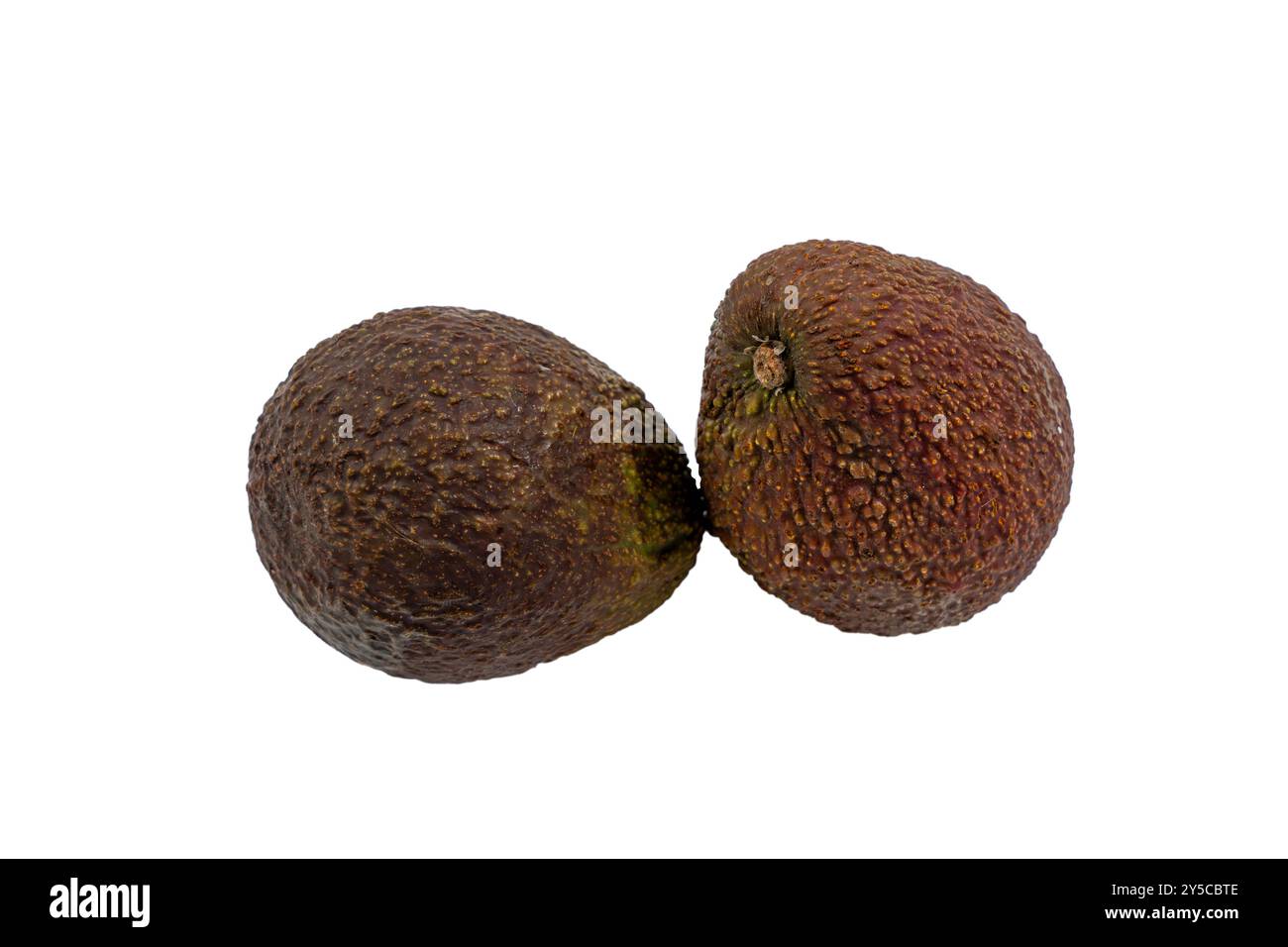Fuzzy appearance Cut Out Stock Images & Pictures - Alamy