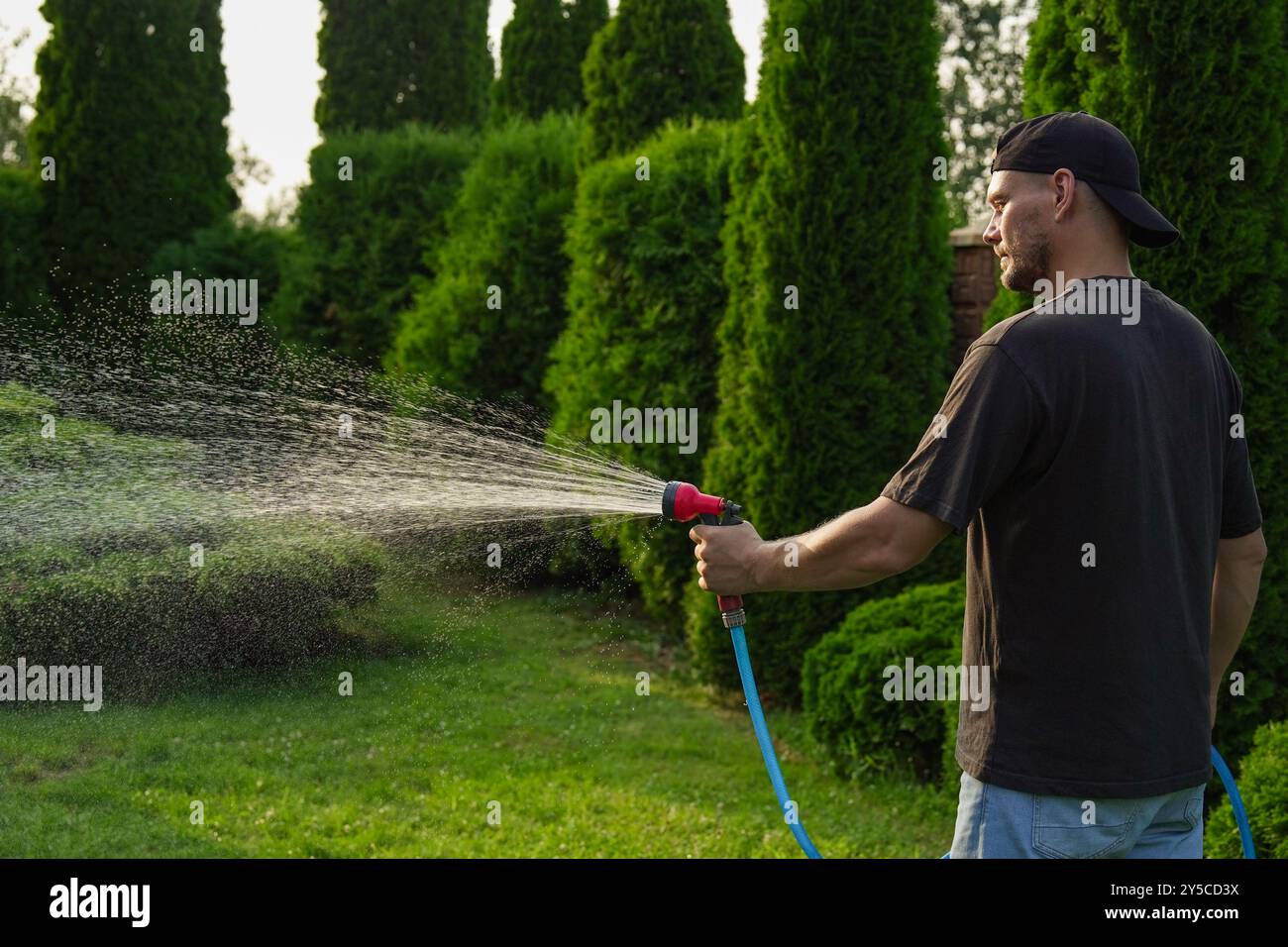 Man watering lawn with hose in backyard Stock Photo - Alamy