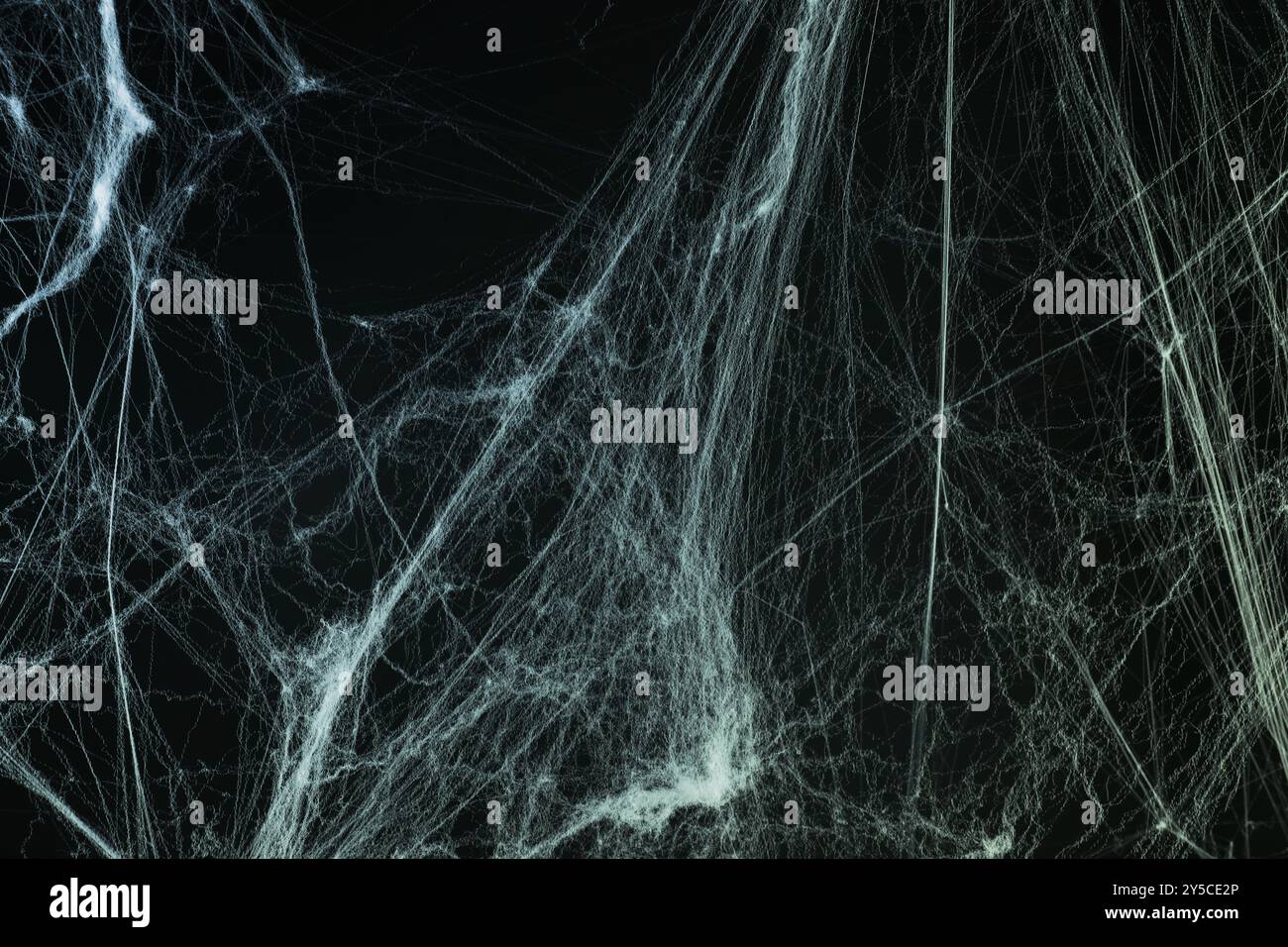 Cobweb against black background, toned in gradient green color Stock ...