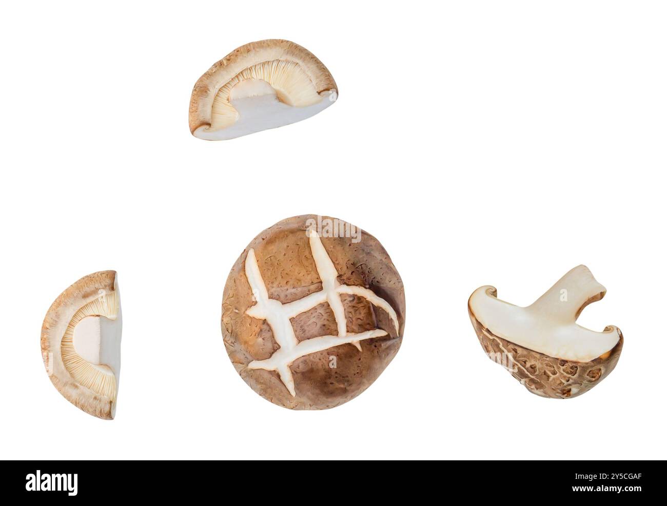 Top view set of shiitake mushroom with halves or slices is isolated on ...