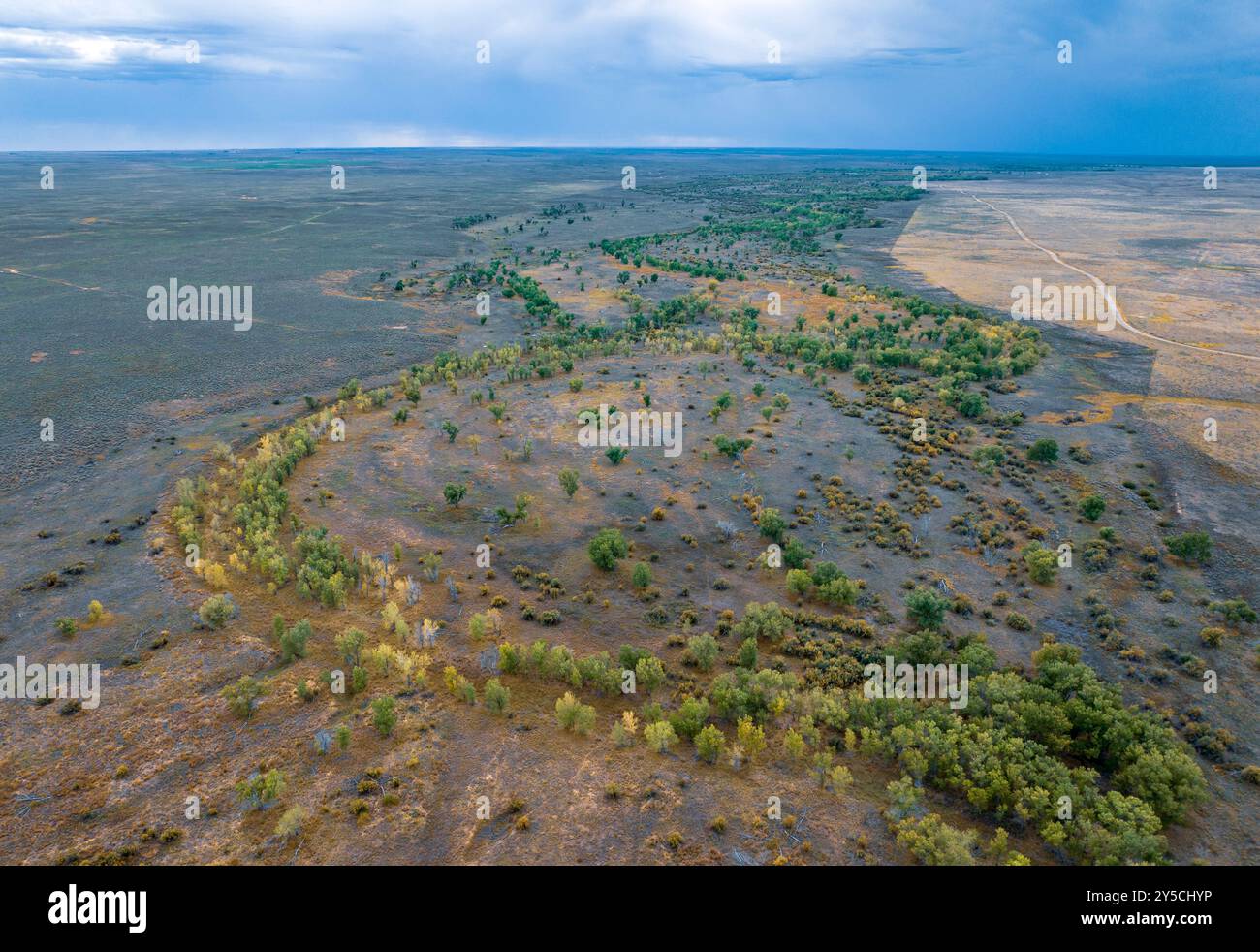 Trees grow in a bend of the Cimarron River at the Cimarron National ...
