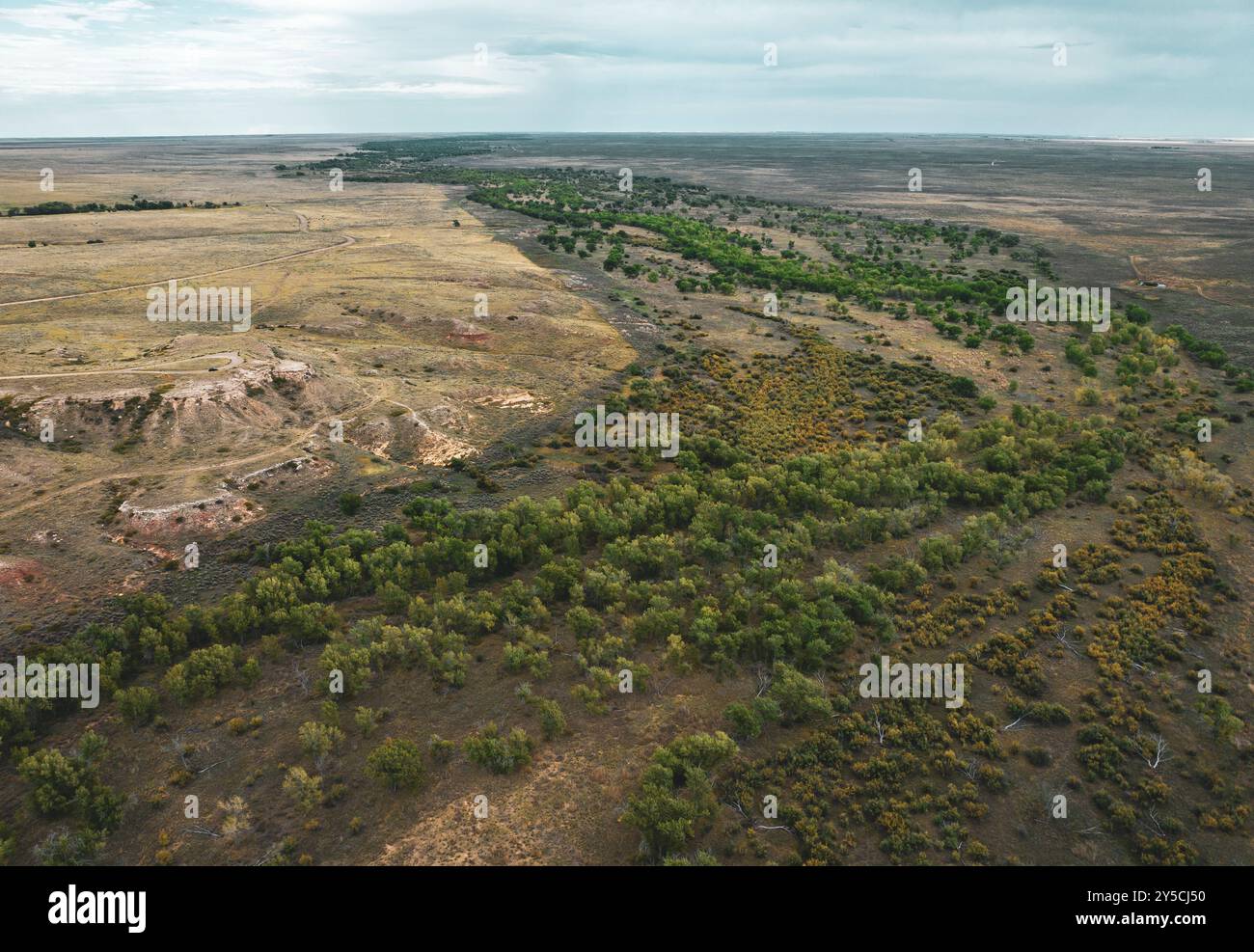 Trees grow in a bend of the Cimarron River at the Cimarron National ...