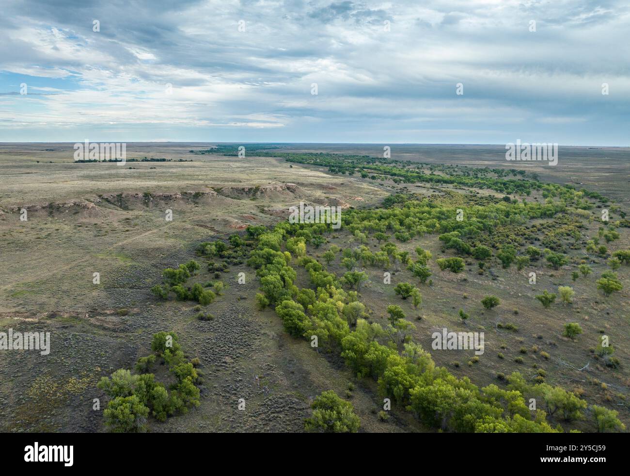Trees grow in a bend of the Cimarron River at the Cimarron National ...