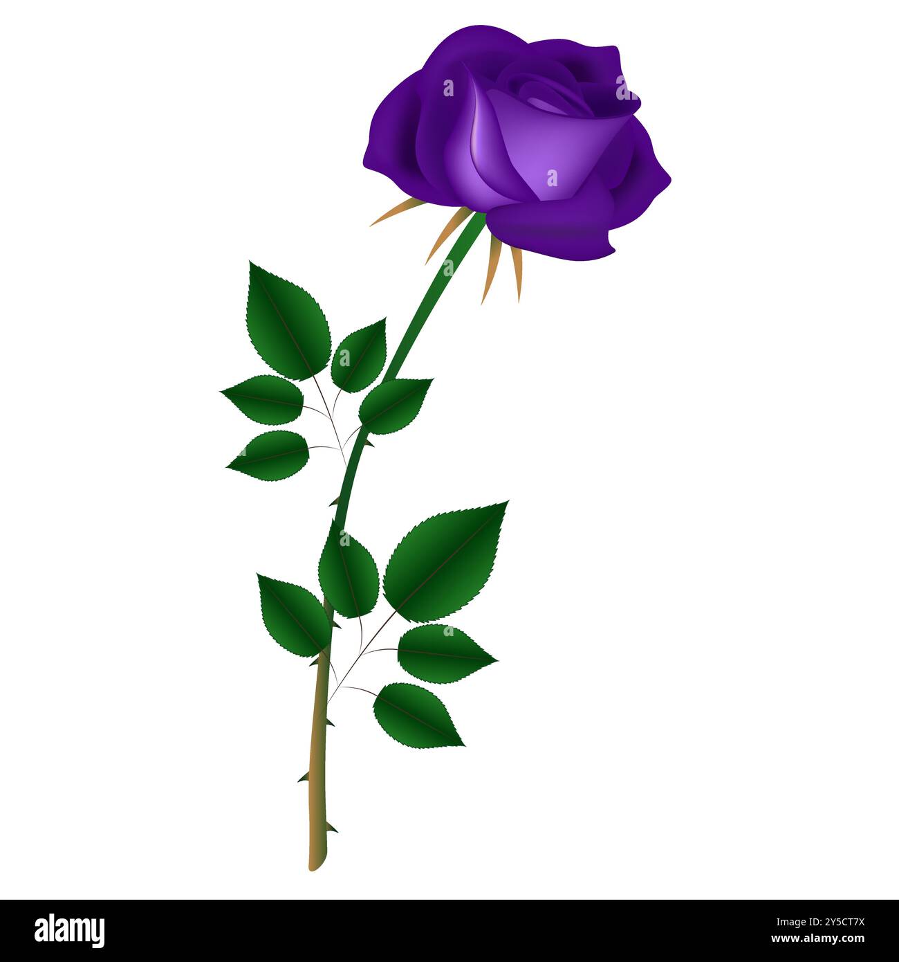 Rose and violet Cut Out Stock Images & Pictures - Alamy