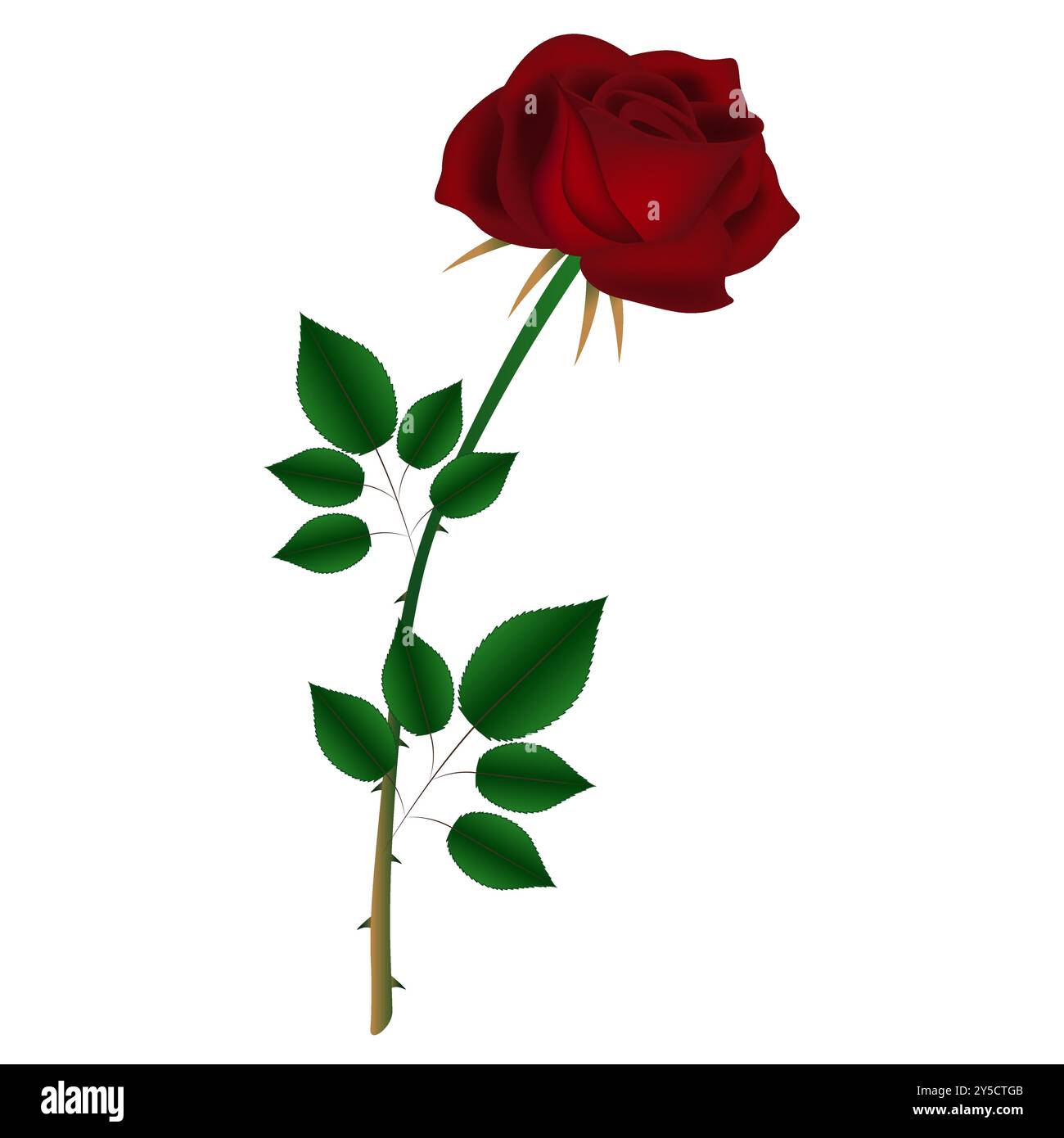 Red velvet rose with leaves on a white background Stock Vector Image ...