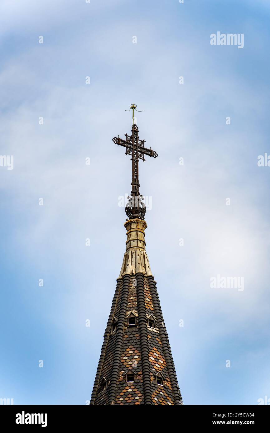 Basilica of the Visitation - Annecy, France Stock Photo - Alamy