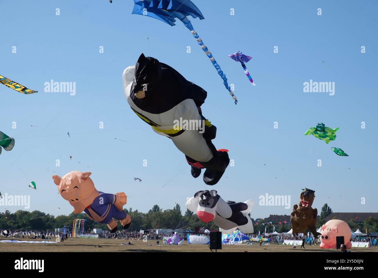 Kite festival at Tempelhofer Feld, Berlin Stock Photo - Alamy