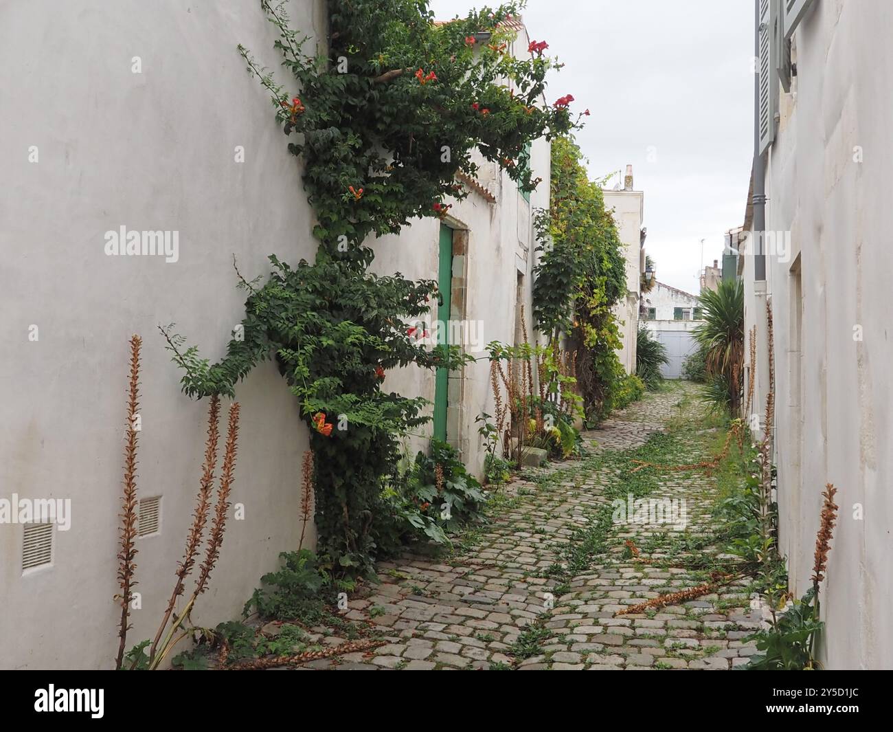 Alley in Loix, Ile de Re Stock Photo - Alamy