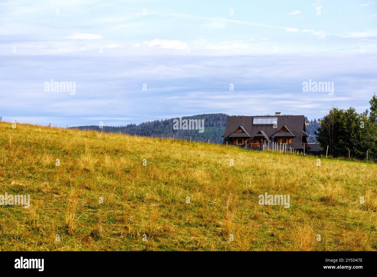 natural landscape in the mountains with a sloping mountain meadow and a ...