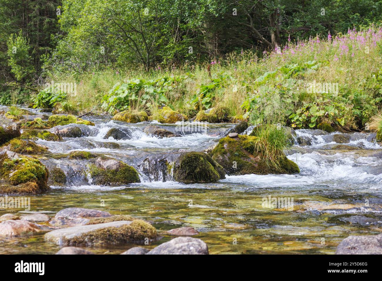 Small mountain stream in cave hi-res stock photography and images - Alamy