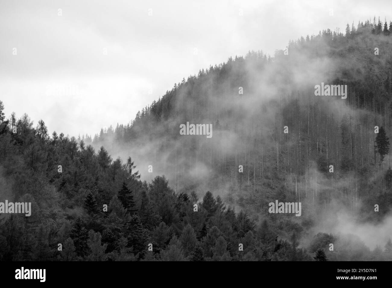 Mountain mist sunrise on Black and White Stock Photos & Images - Alamy