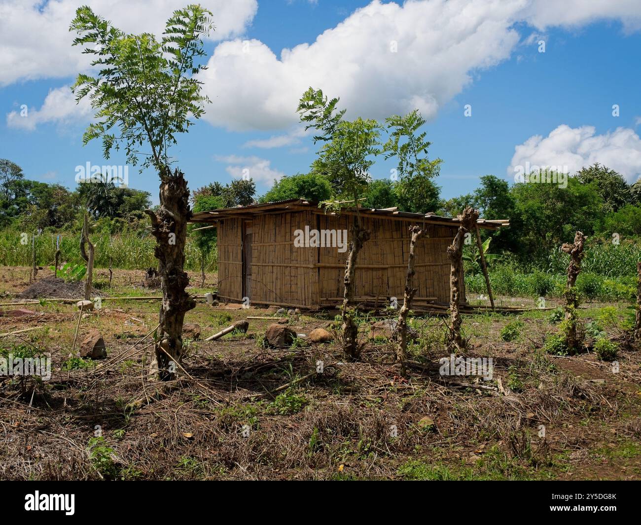 House in the Panama countryside Stock Photo - Alamy