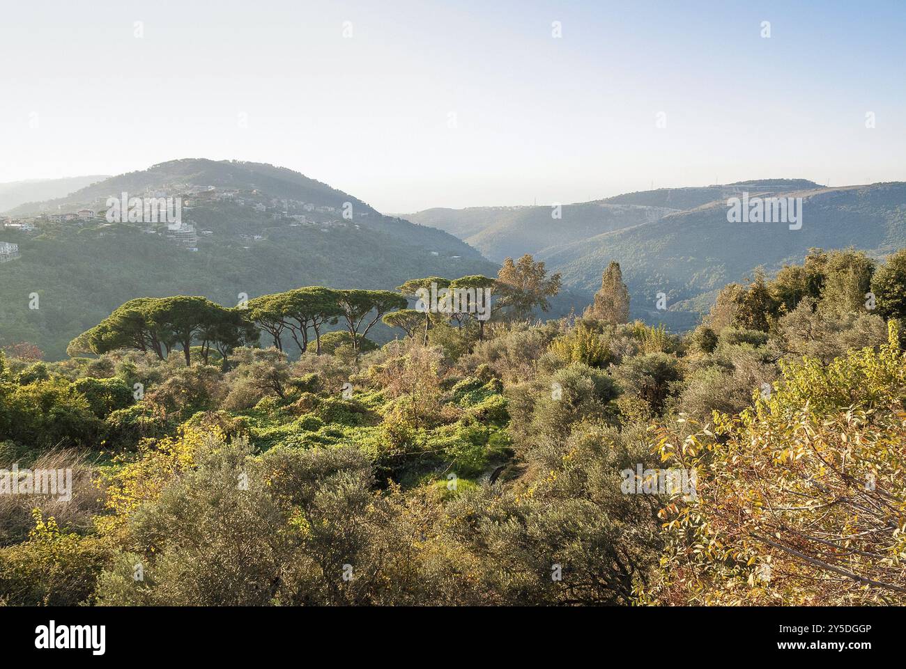 Lebanese valley hi-res stock photography and images - Alamy