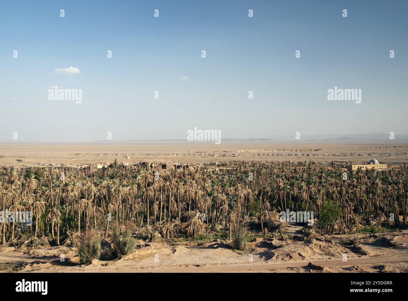 Desert oasis in garmeh iran hi-res stock photography and images - Alamy