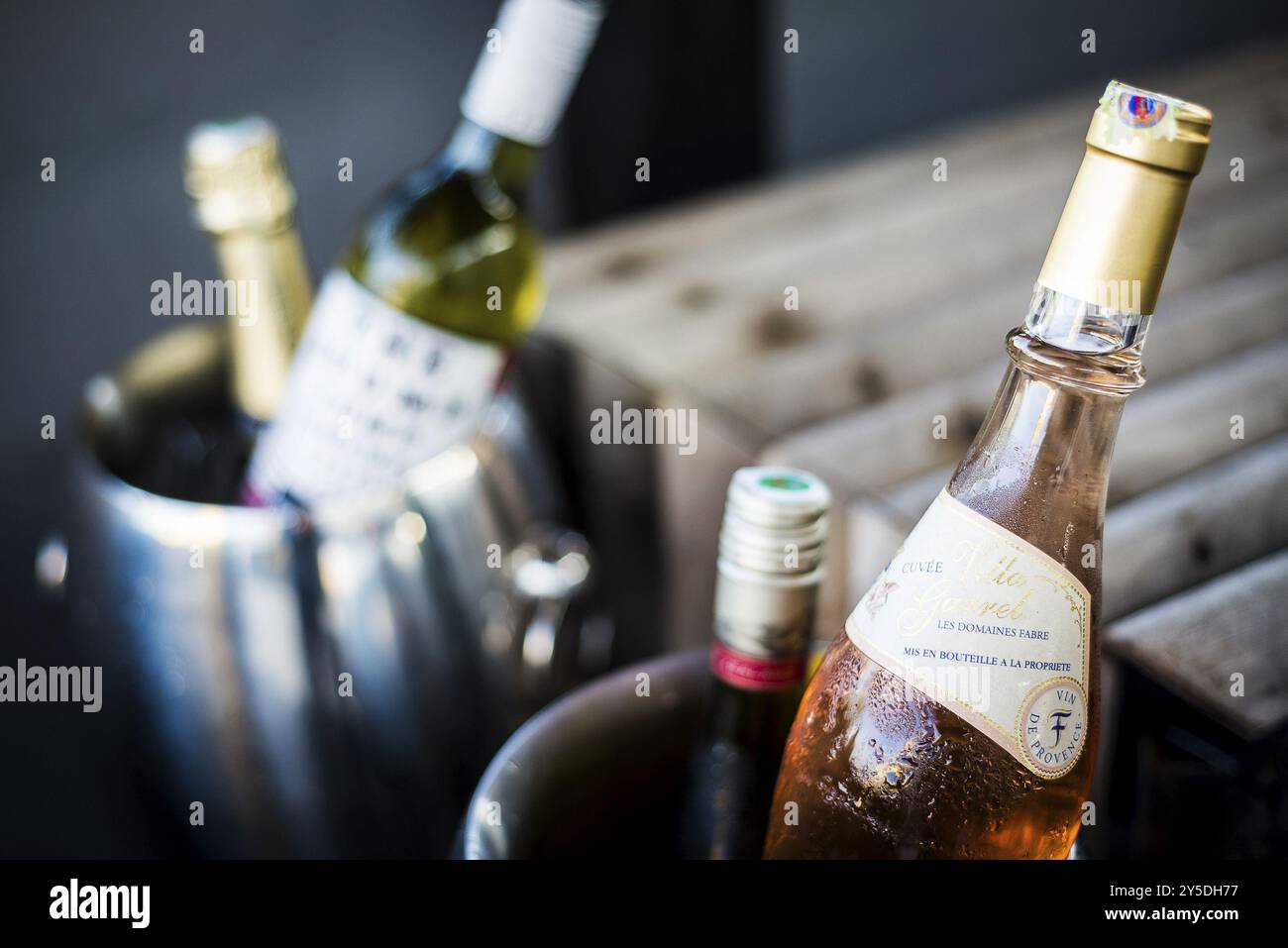 Mixed bottles of gourmet wine in ice chiller bucket at bar Stock Photo ...