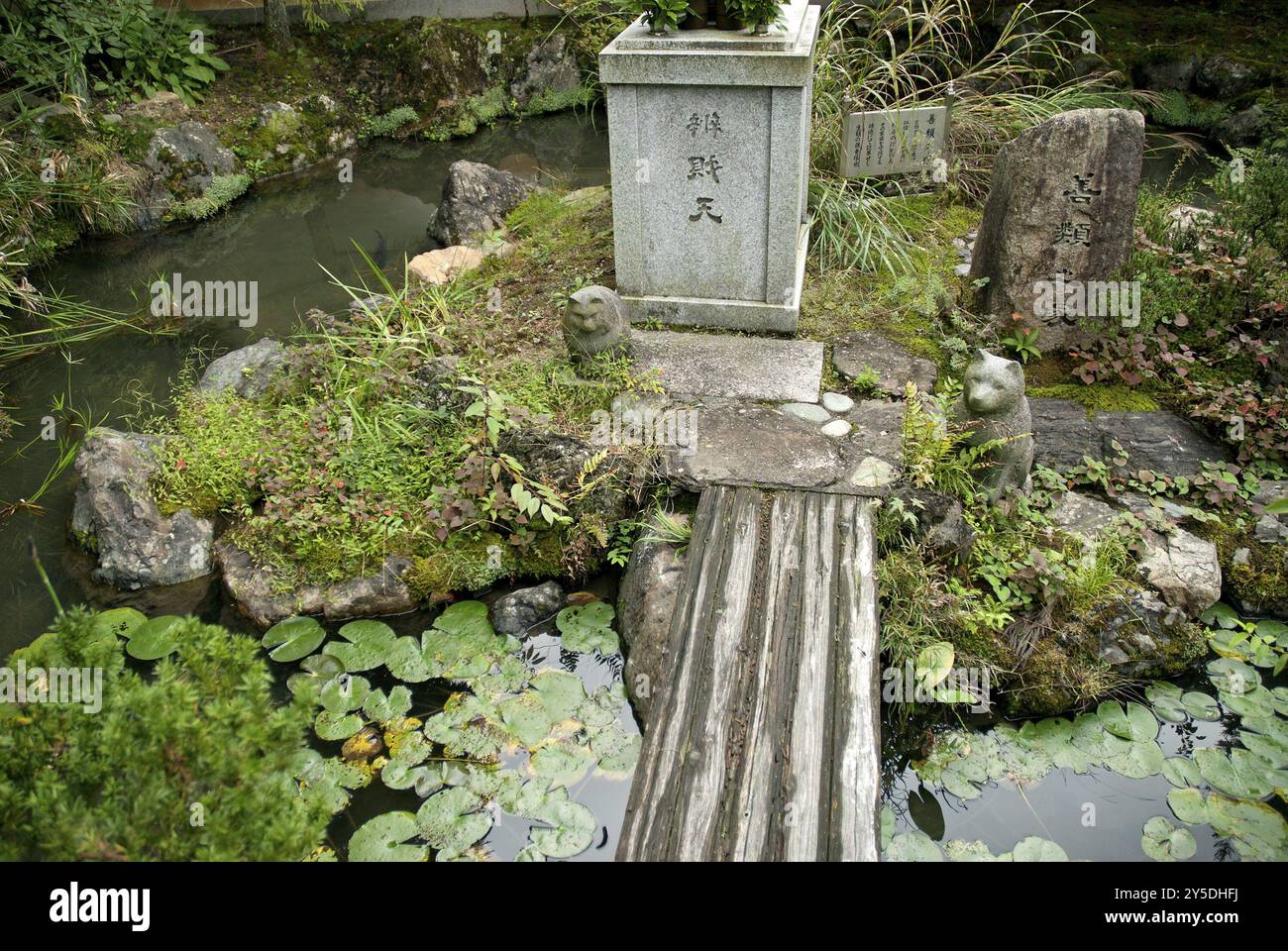 Japanese traditional garden in kyoto japan Stock Photo - Alamy
