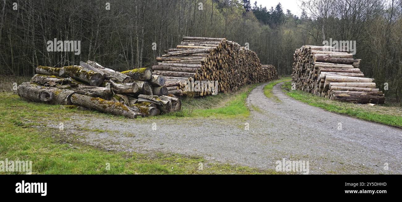 Logging, lumberjacking, forestry, logging, wood piles Stock Photo - Alamy