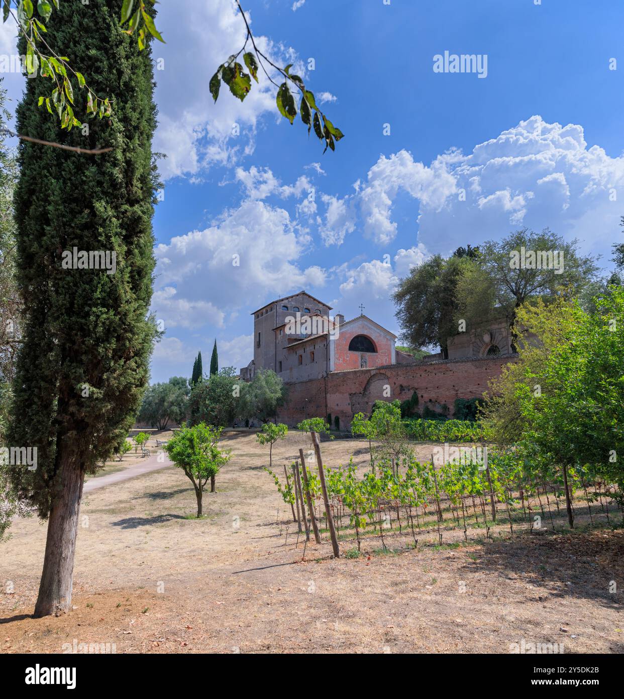 Barberini vineyard hi-res stock photography and images - Alamy