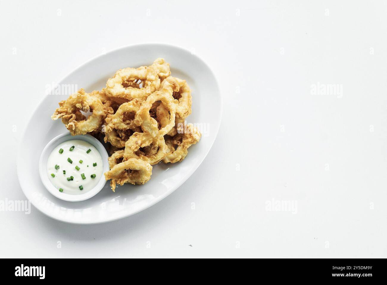 Traditional spanish fried calamari squid rings tapas with aioli garlic ...