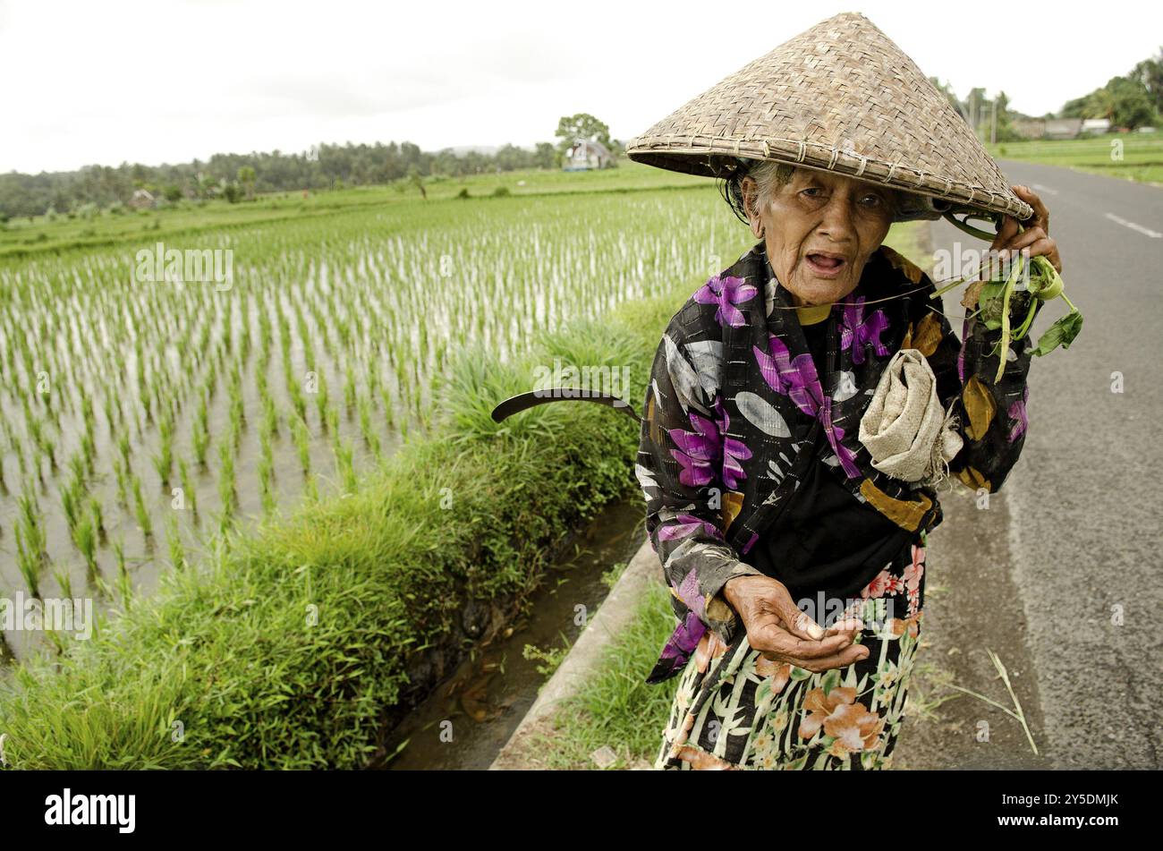 Old woman in rural bali indonesia Stock Photo - Alamy