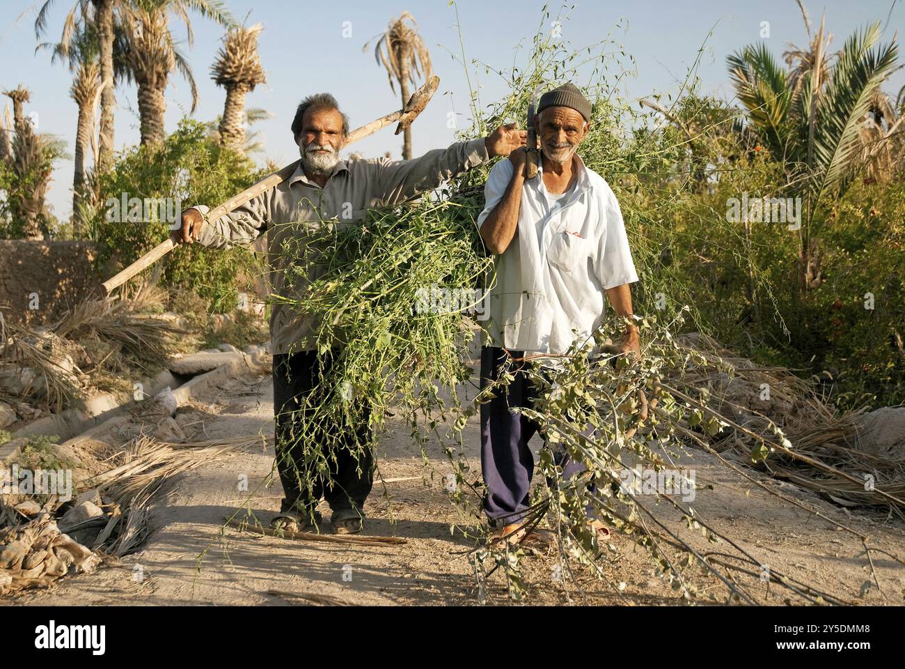 Travel tourism sightseeing holidays vacation traditional native farming ...