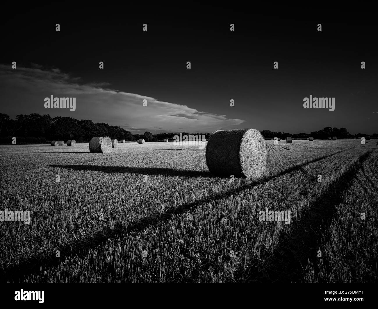 Fields of Circular Hay Bales in the Suffolk Countryside Stock Photo - Alamy