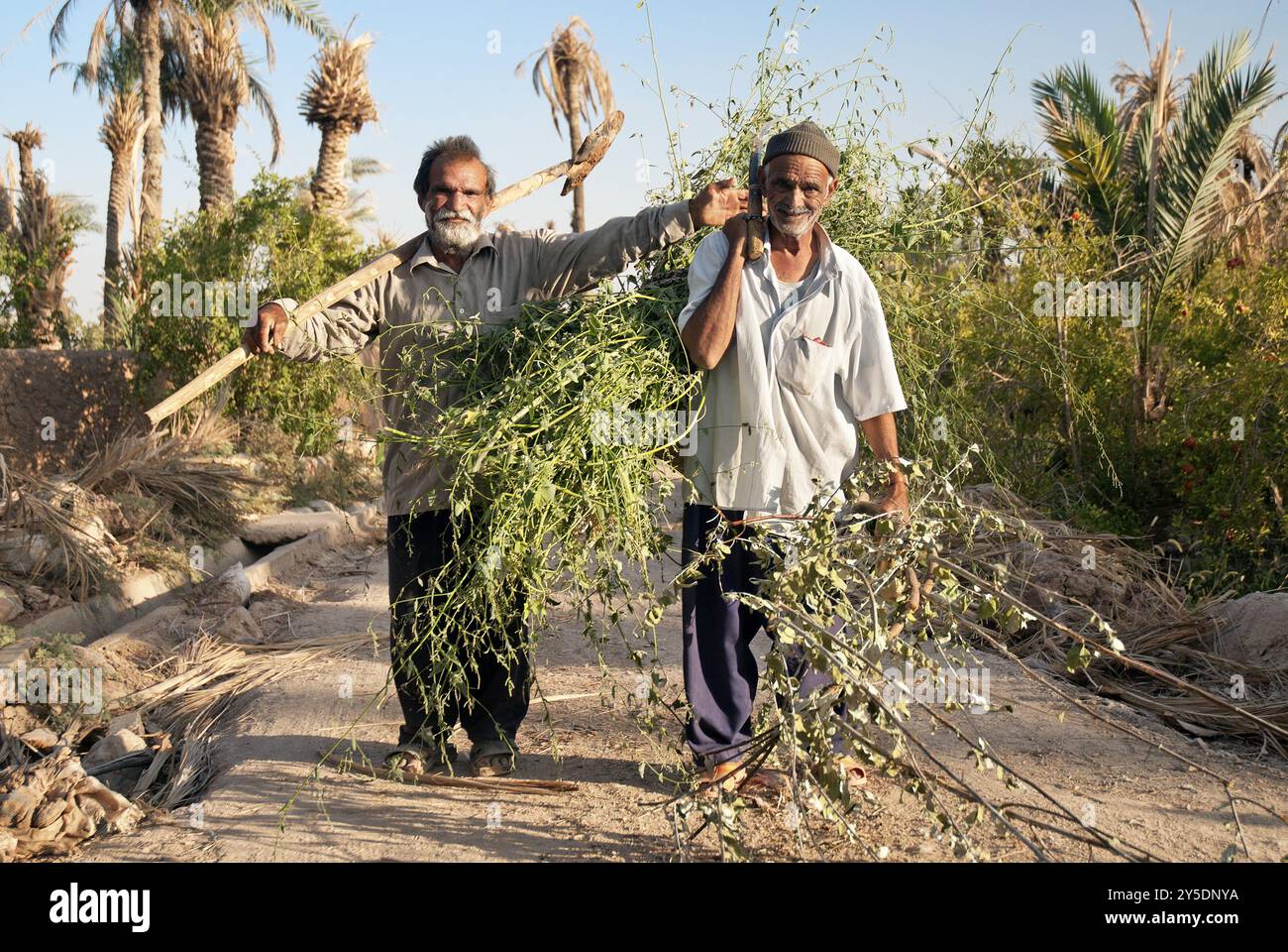 Desert oasis in garmeh iran hi-res stock photography and images - Alamy
