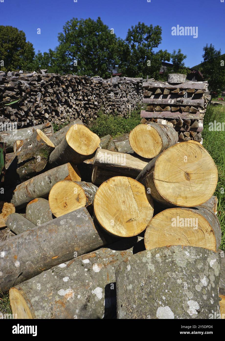 Woodpile stacked firewood logs hi-res stock photography and images - Alamy