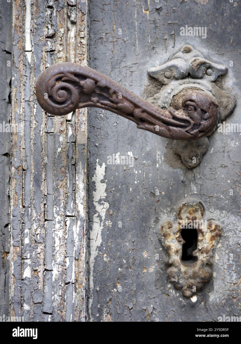Rusty door handle with duck head on old wooden door Stock Photo - Alamy