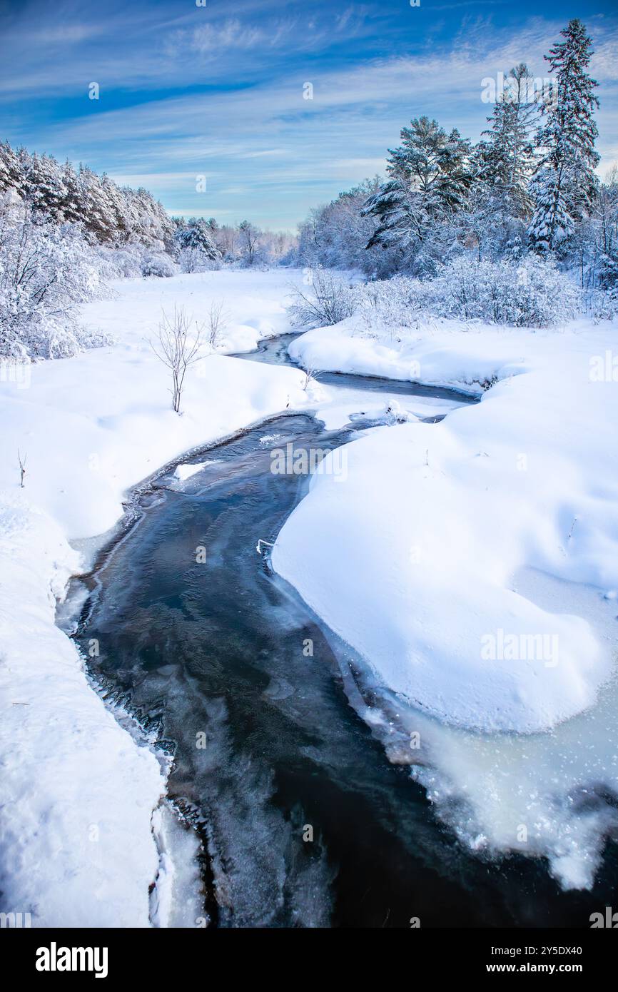 Frozen stream running through a Wisconsin forest, vertical Stock Photo ...