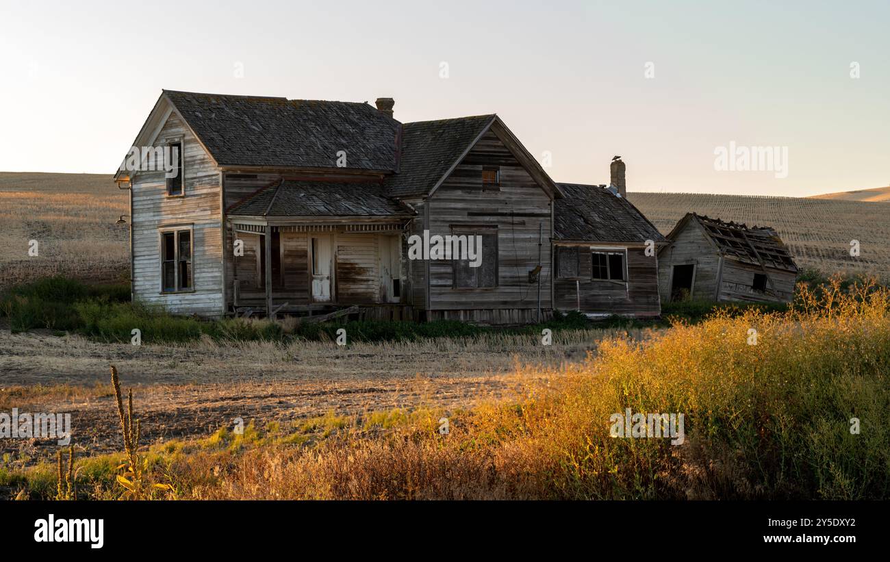 Old homestead in the middle of a farmers field Stock Photo - Alamy
