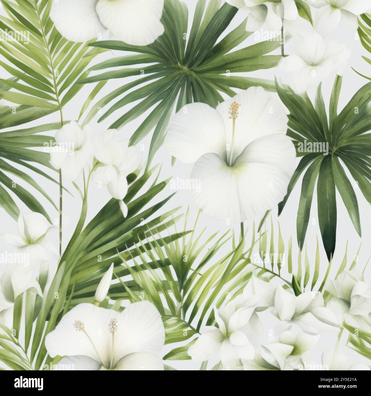 Exploring established patterns in the growth and care of tropical ...