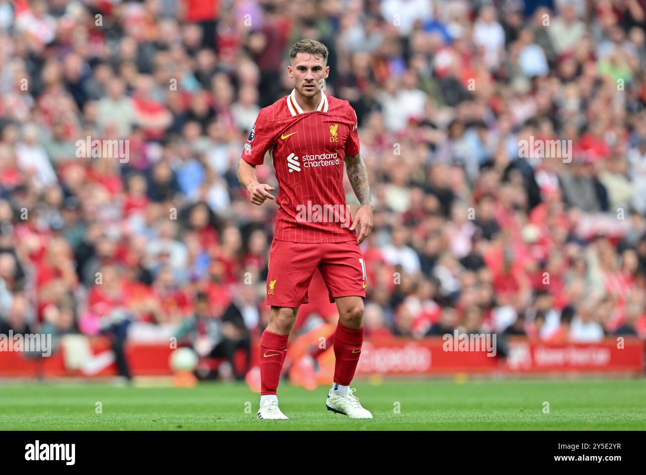 Alexis mac allister liverpool hi-res stock photography and images - Alamy