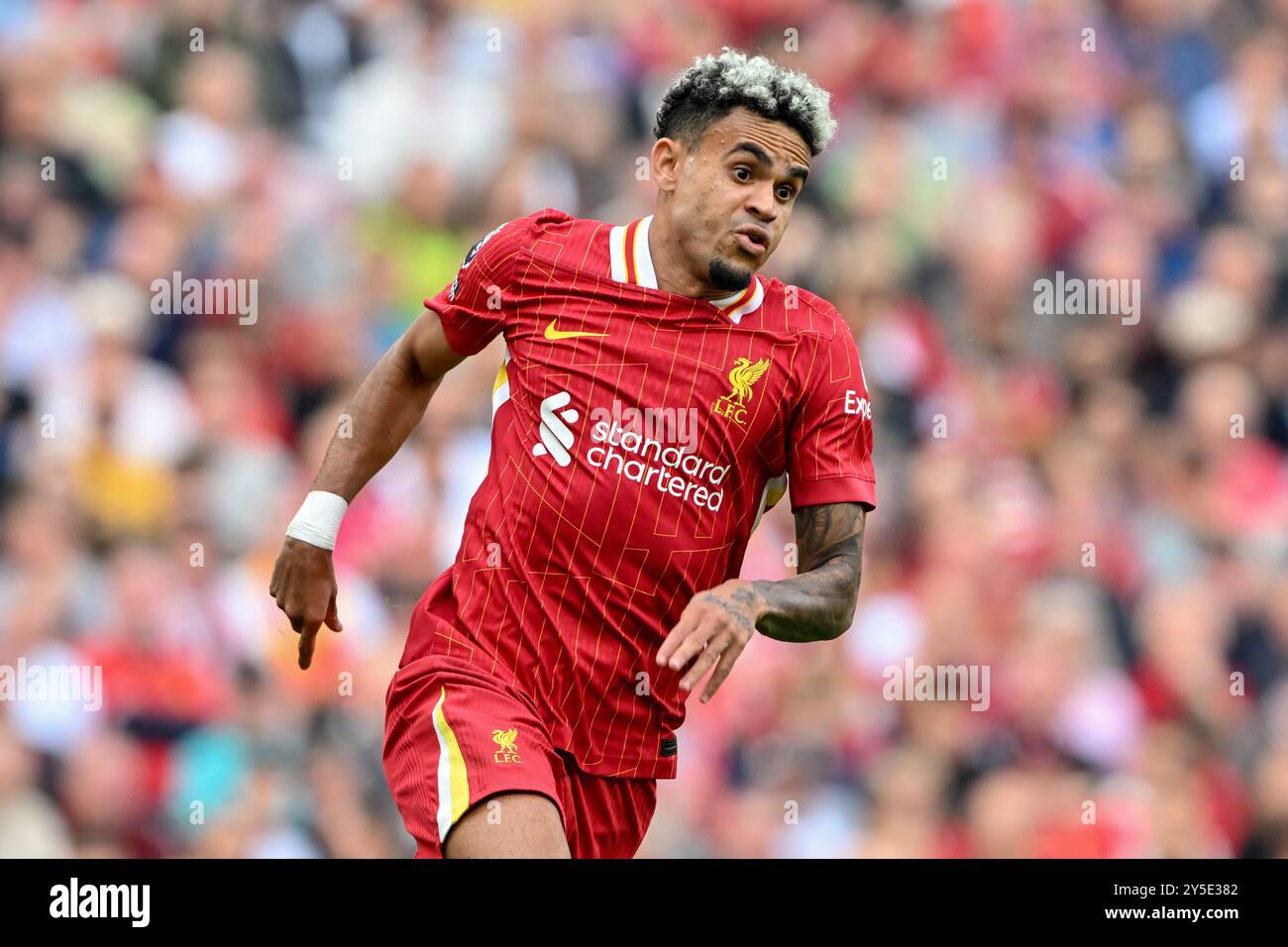 Luis diaz liverpool september 2024 hi-res stock photography and images ...