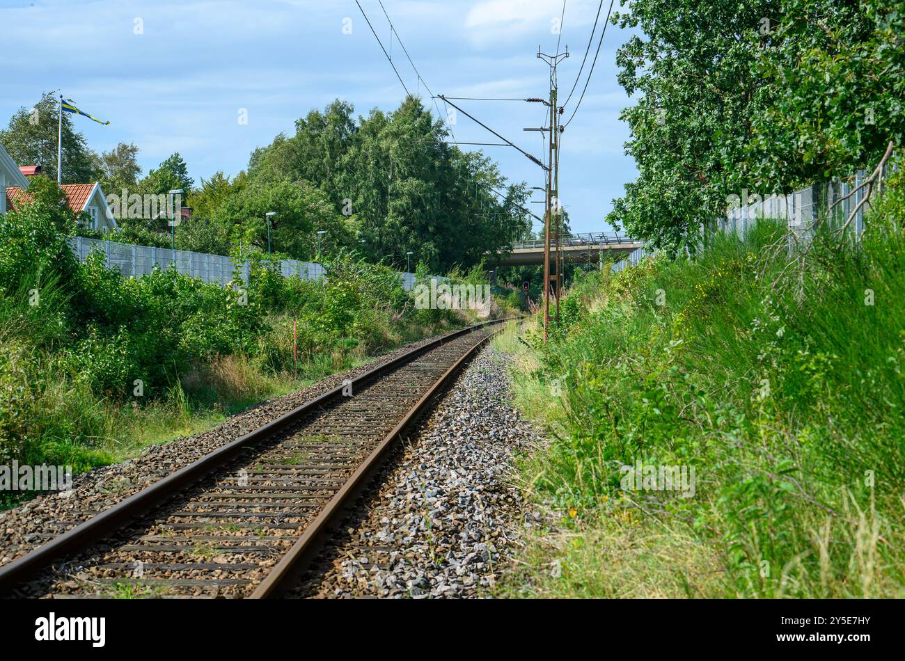 Train tracks winding through lush greenery under a clear blue sky with ...