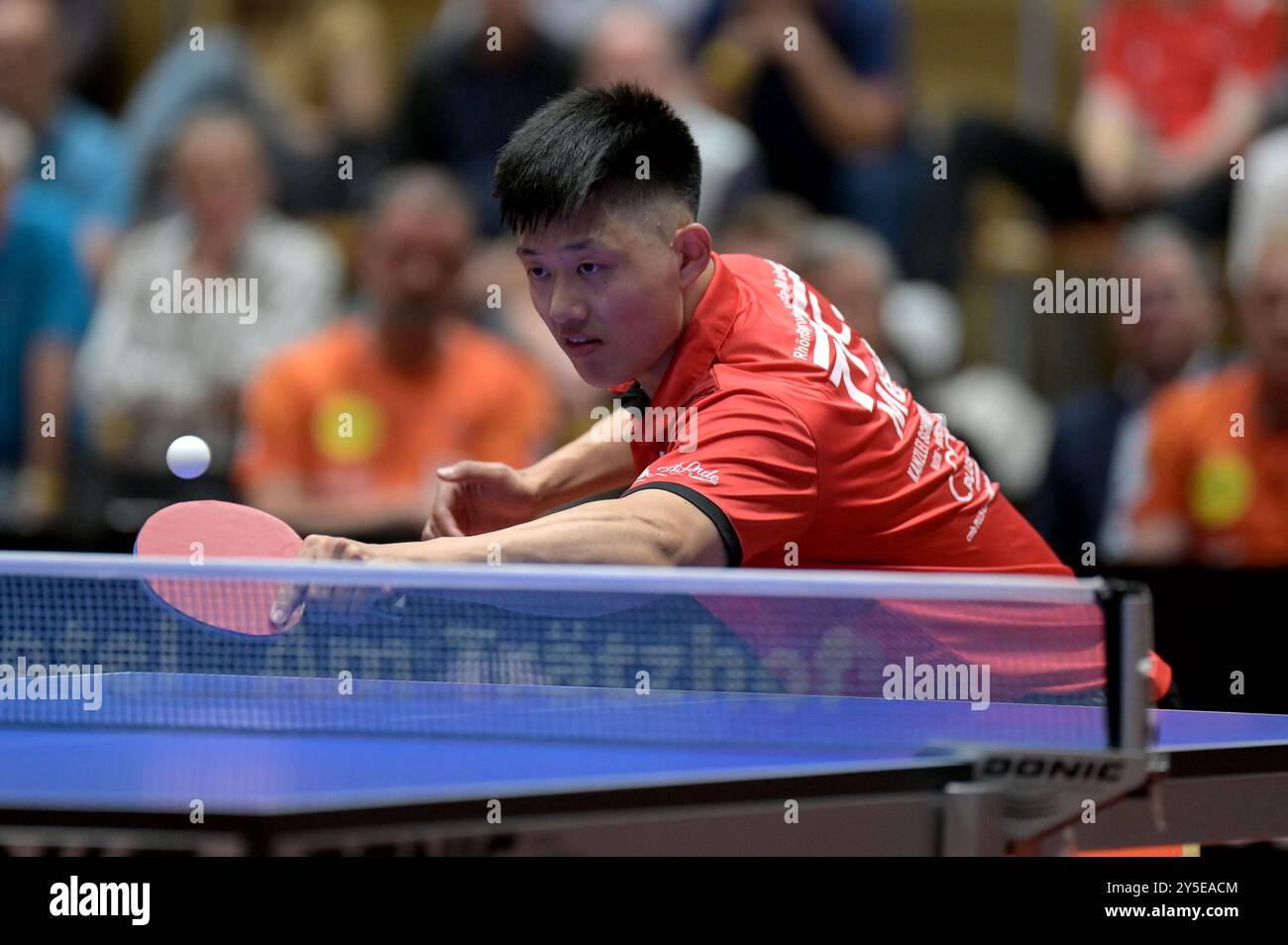 Deutscher pokal hi-res stock photography and images - Alamy