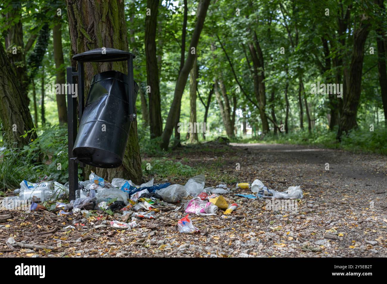 Poznan, Poland. 20 June, 2024. Overflowing Trash Bin in a Forest Area ...