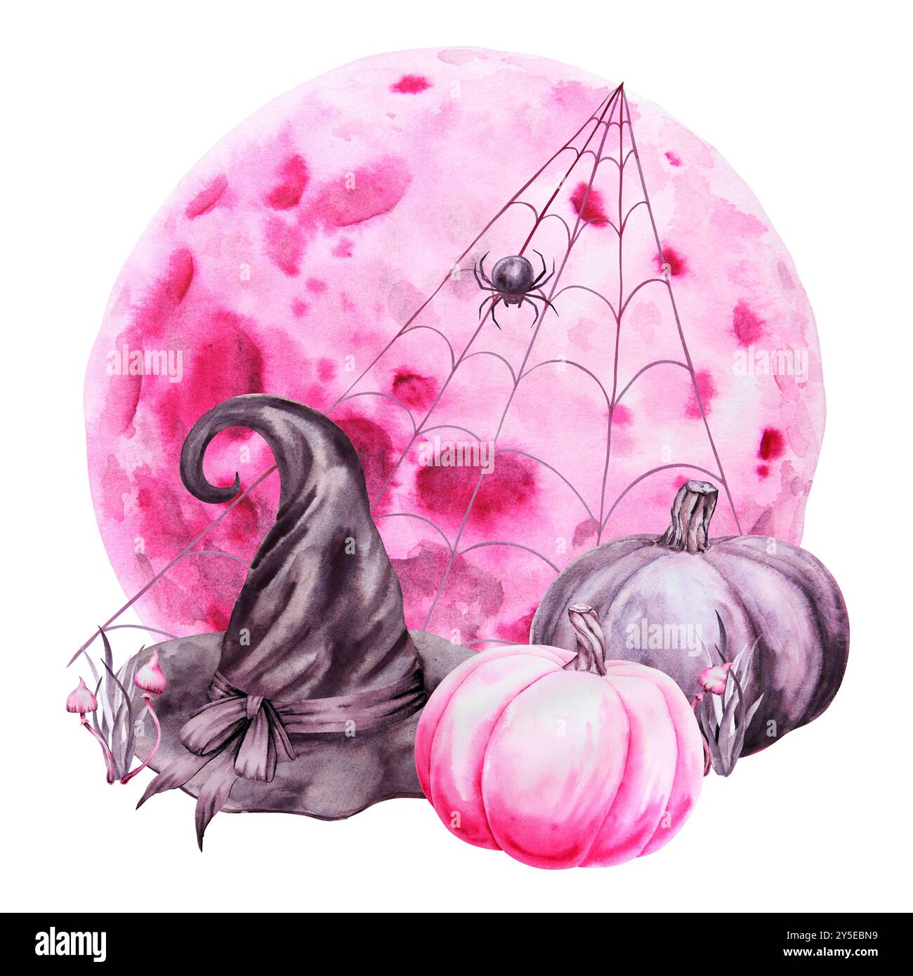 Full moon, pink and black pumpkins, witch hat, spider on web, poisonous ...