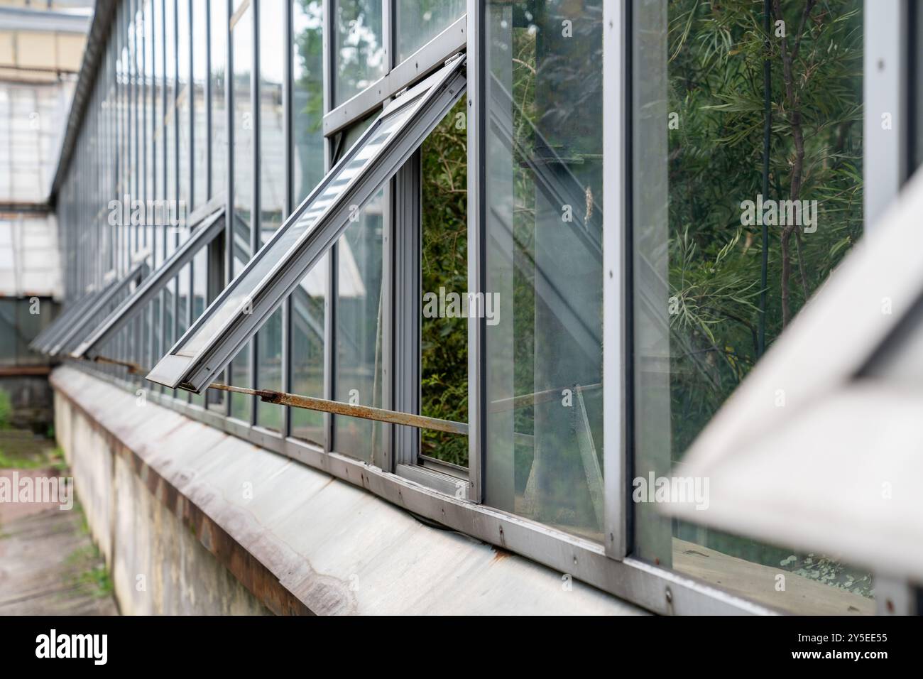 Open windows vents in greenhouse for ventilation with tropical plants ...