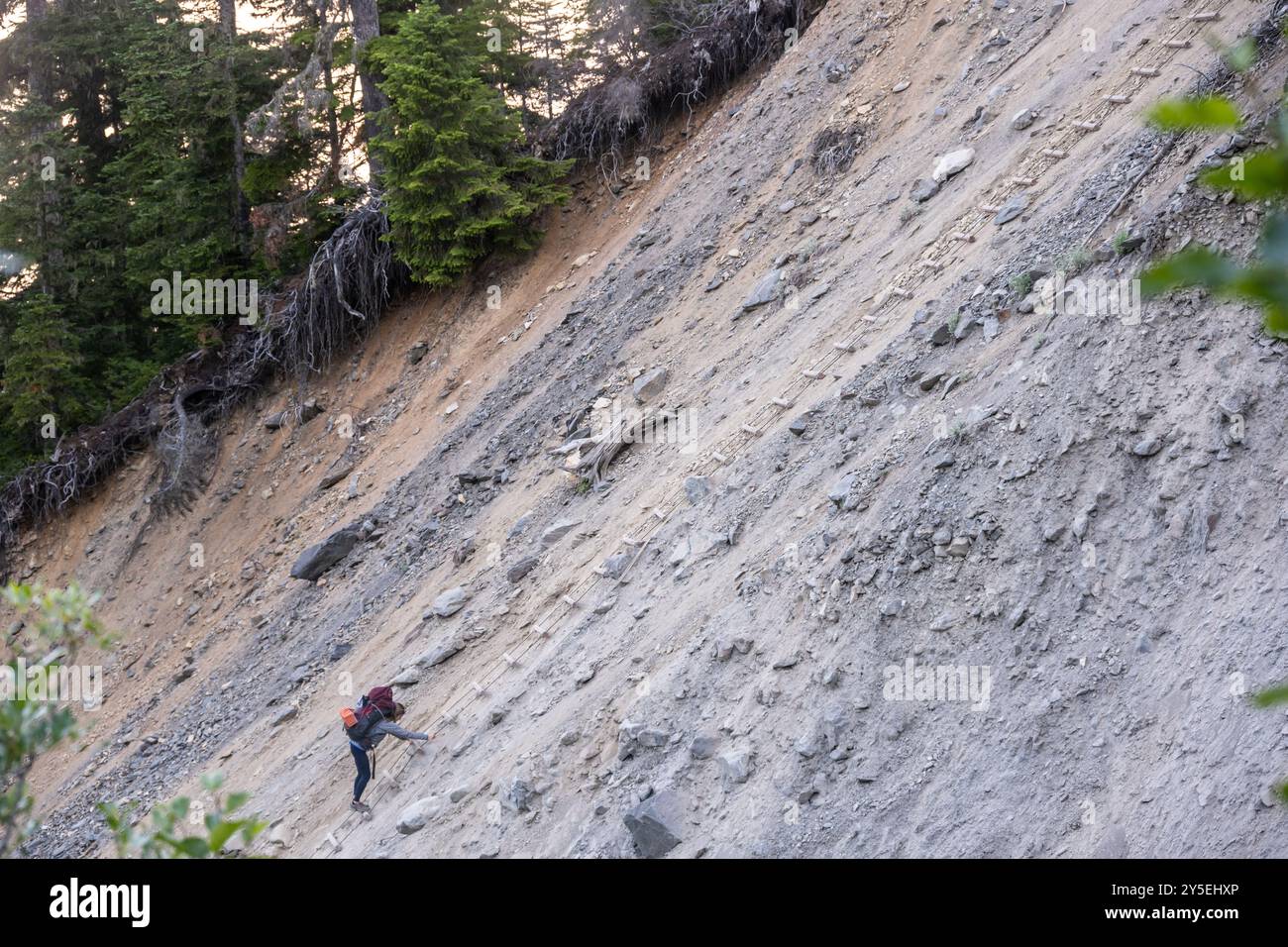 Backpacker Scrambles Up Steep Slope on Hoh River Trail in Olympic ...