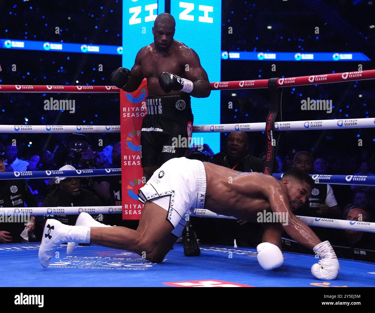 Daniel Dubois knocks out Anthony Joshua in the IBF World Heavy weight ...