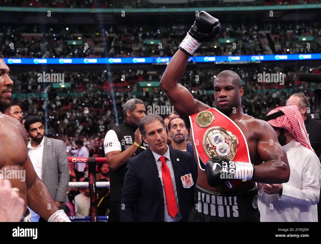 Daniel Dubois celebrates victory against Anthony Joshua (not pictured ...