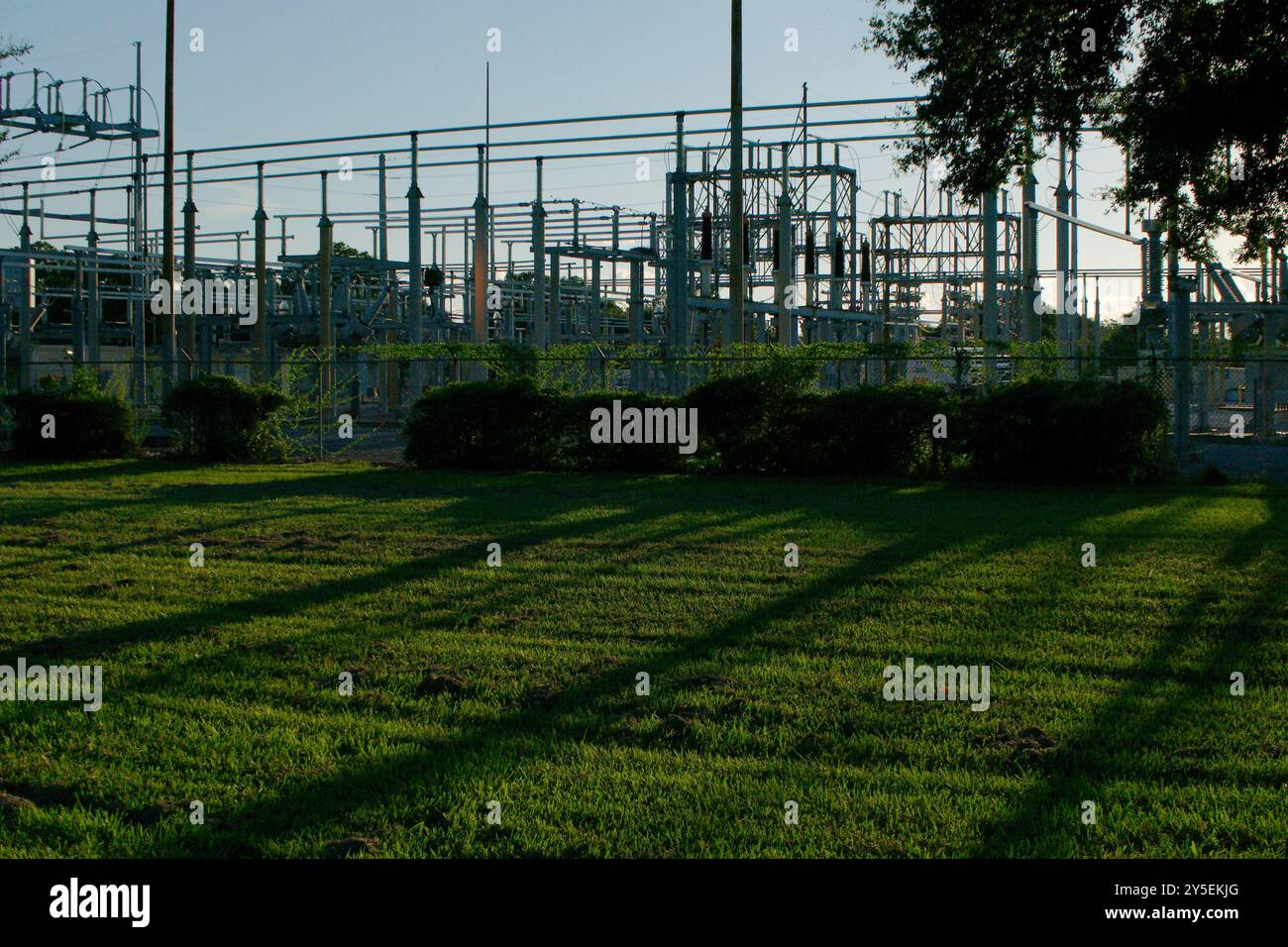 Electric substation framed with tree limbs hi-res stock photography and ...