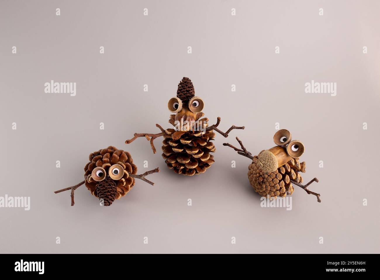 Top view of autumn nature craft for kids, with pine cone creatures ...